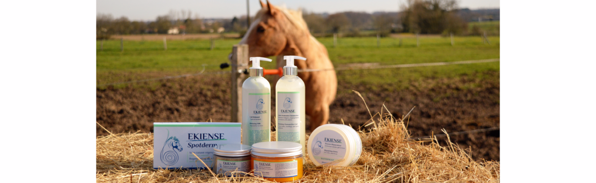 Recourir aux produits naturels pour prendre soin de son cheval